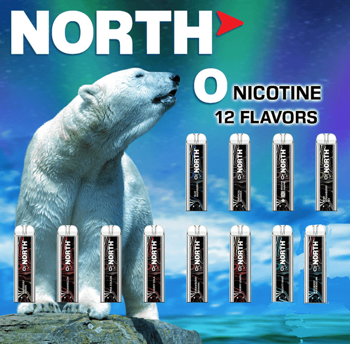North 5000 Disposable – 0% Nicotine Vape | $16.99 MyVpro